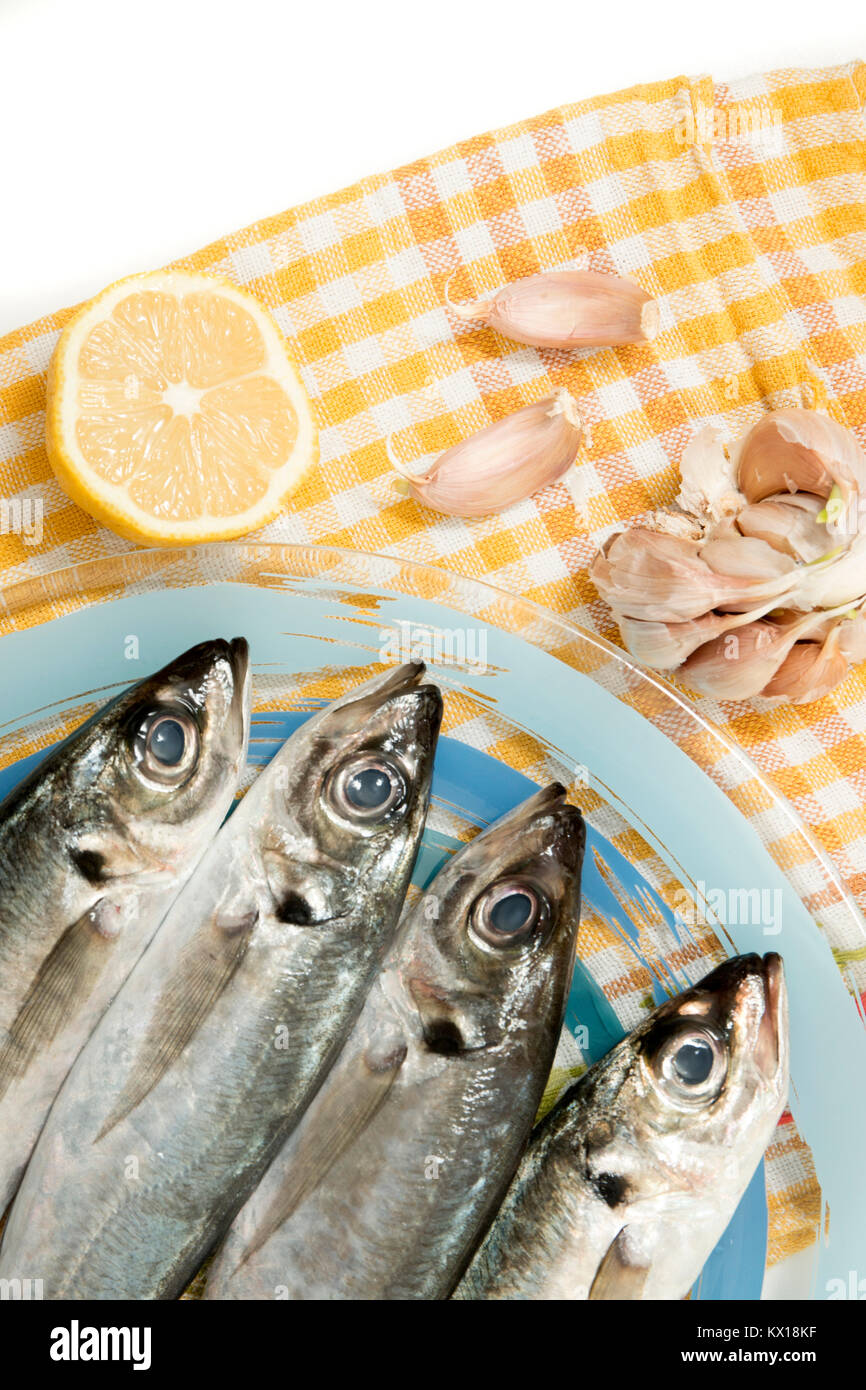 Raw short mackerel fish on a plate Stock Photo - Alamy