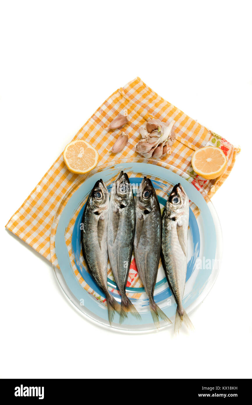 Raw short mackerel fish on a plate Stock Photo - Alamy