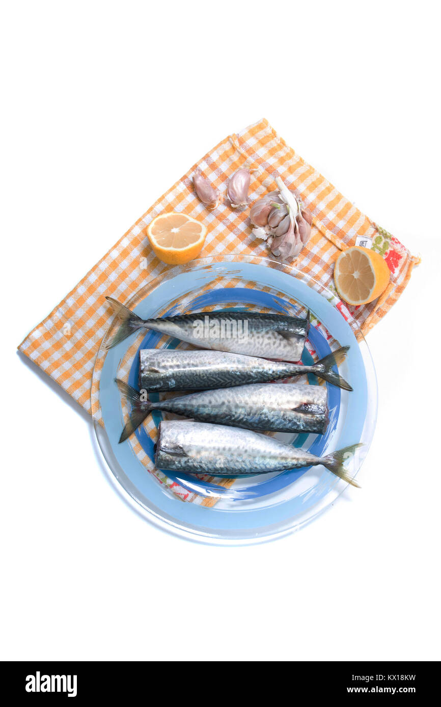 Raw mackerel fish on a plate Stock Photo - Alamy