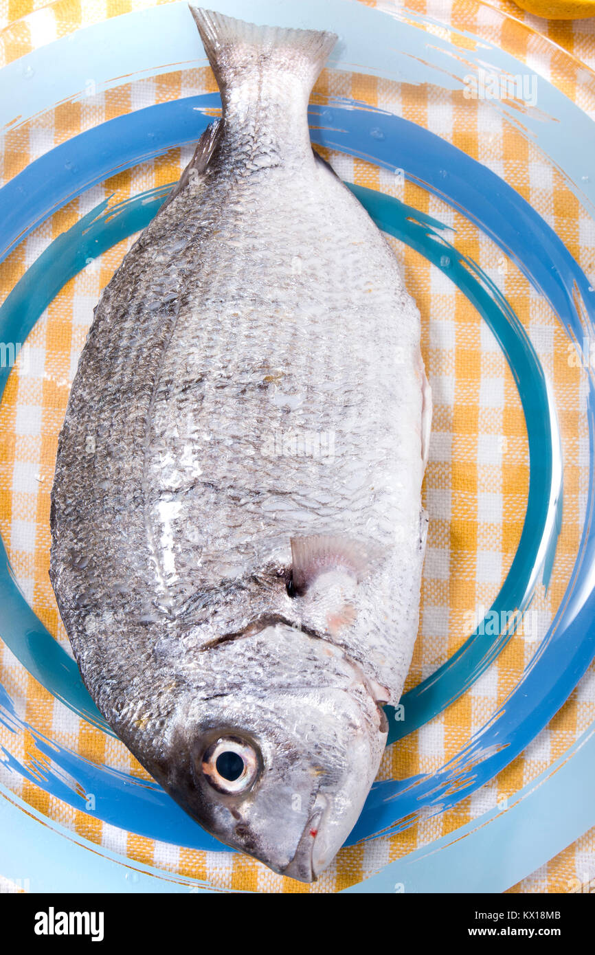 Gilt-head bream fish on a plate Stock Photo - Alamy