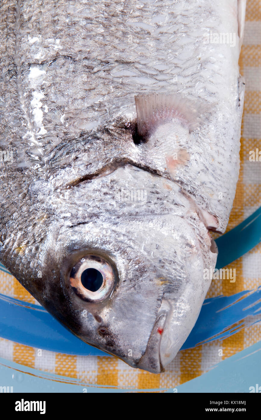 Gilt-head bream fish on a plate Stock Photo - Alamy