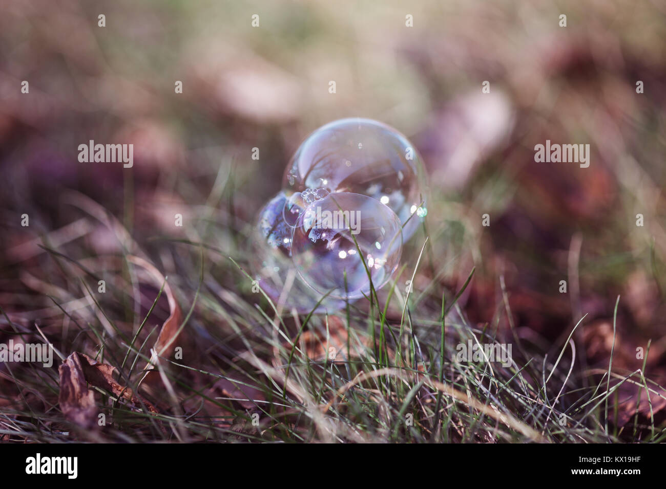 bubbles on ground Stock Photo - Alamy