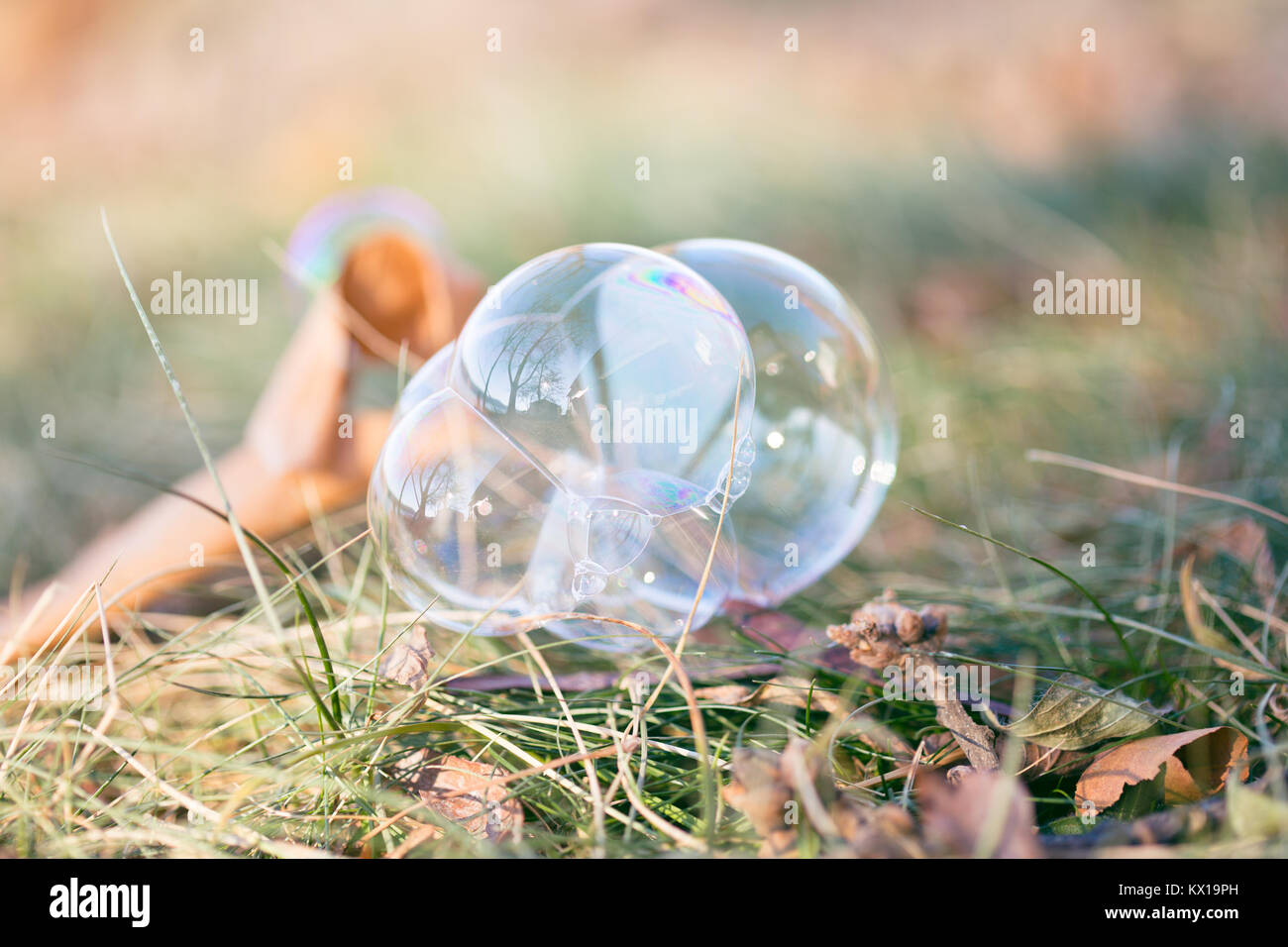 bubbles on ground Stock Photo - Alamy