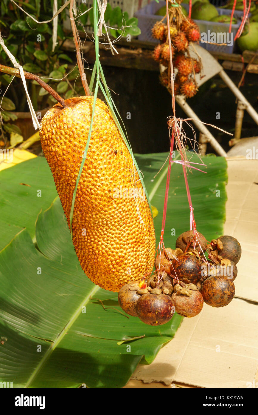 Tropical fruits on a fruit market, Penang, Malaysia Stock Photo - Alamy