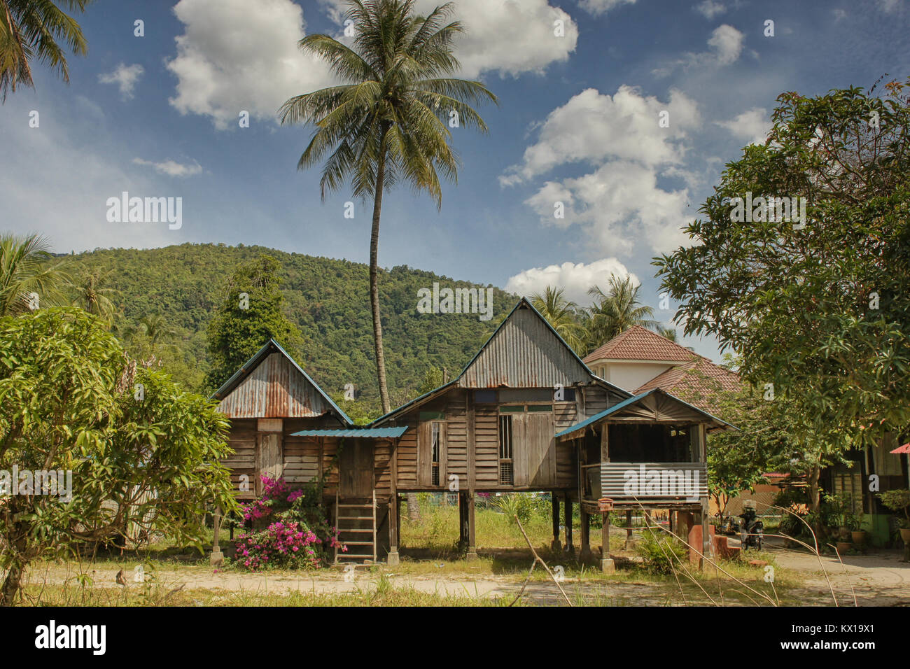 Traditional rural residence with palm tree, village on Penang Island ...