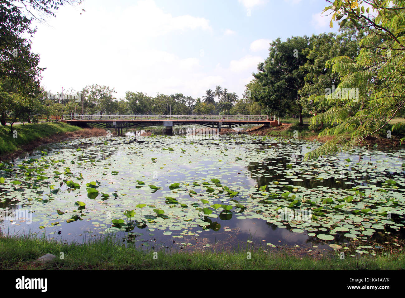 Bridge and pond in Anuradhapura, Sri Lanka Stock Photo - Alamy