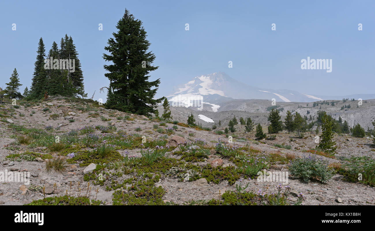 Mount Hood National Park under a smoky atmosphere, Oregon, United ...