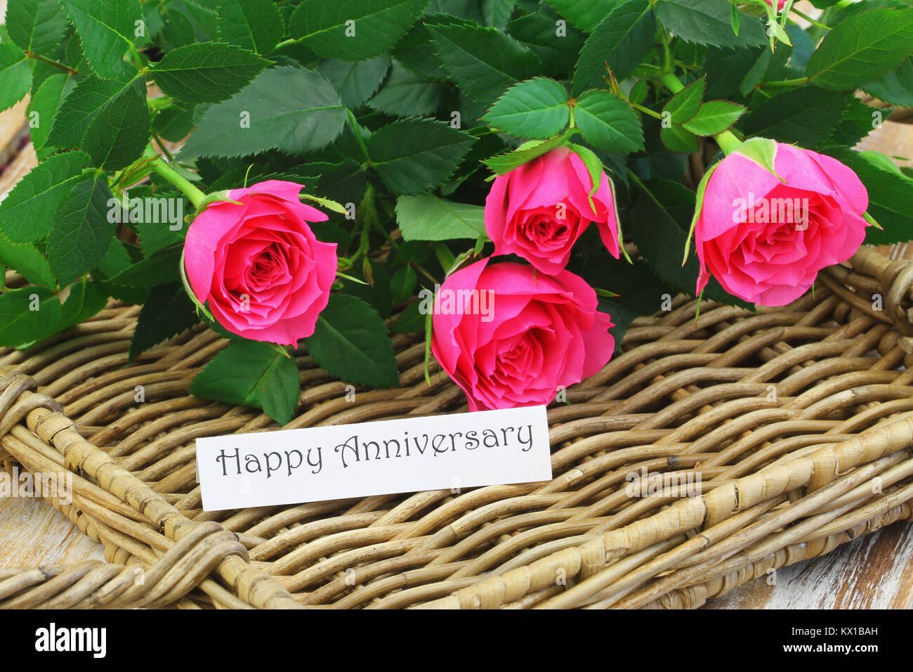 Happy Anniversary card with pink wild roses Stock Photo - Alamy