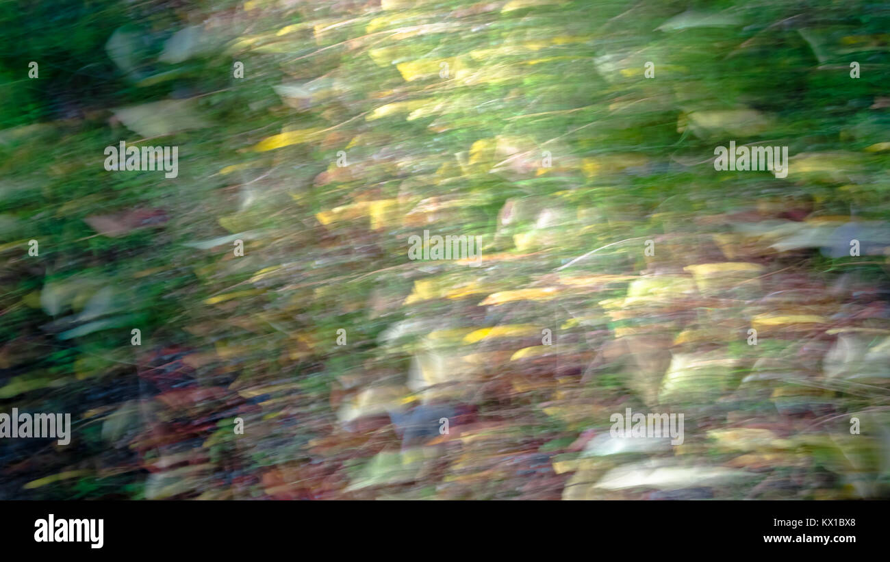 Colorful abstract movement pattern, vibrant textured background Stock ...