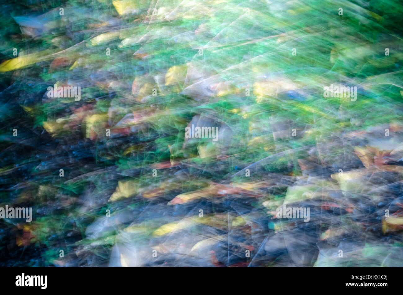 Colorful abstract movement pattern, vibrant textured background Stock ...