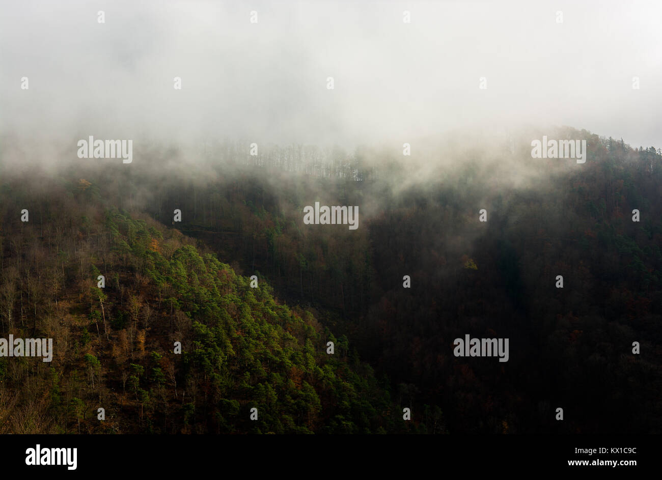 Misty climate hi-res stock photography and images - Alamy