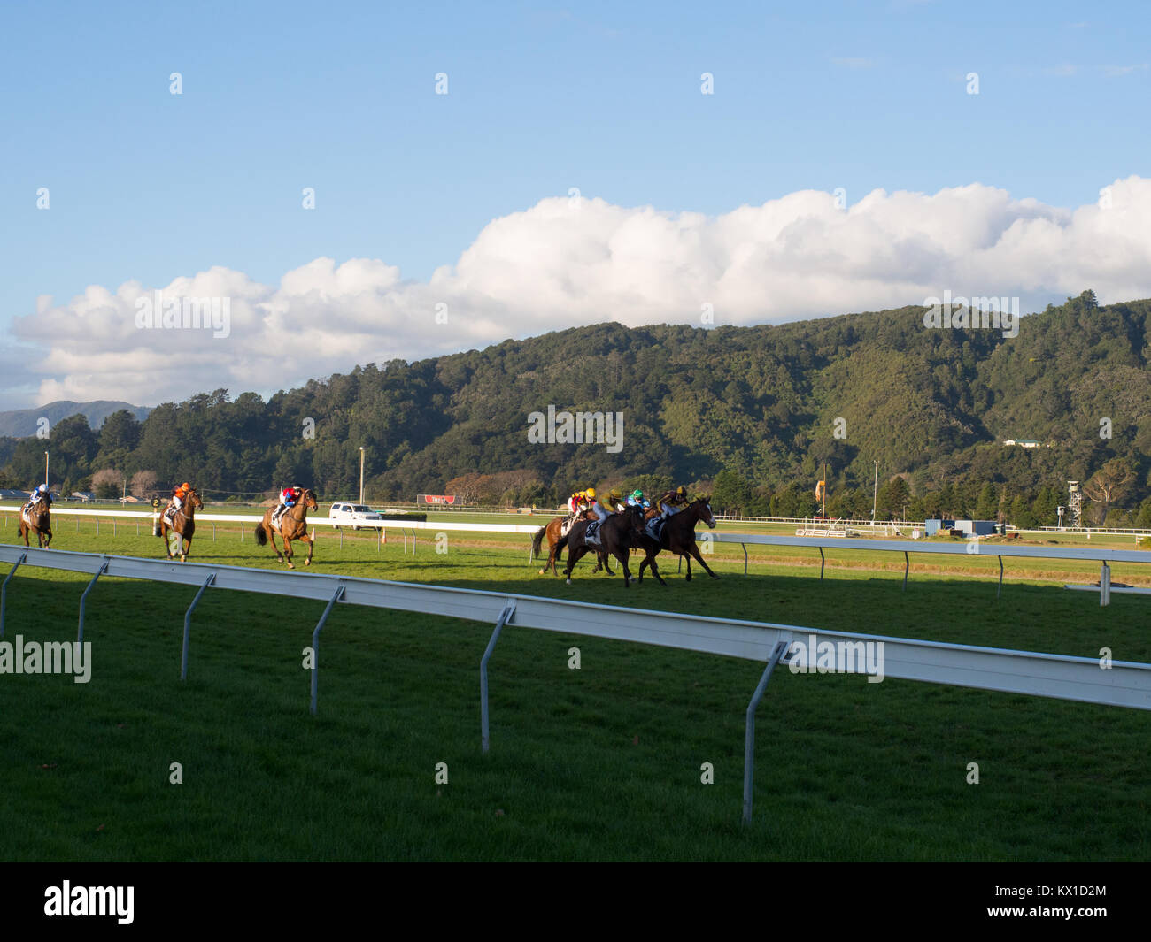 Trentham racecourse hi-res stock photography and images - Alamy
