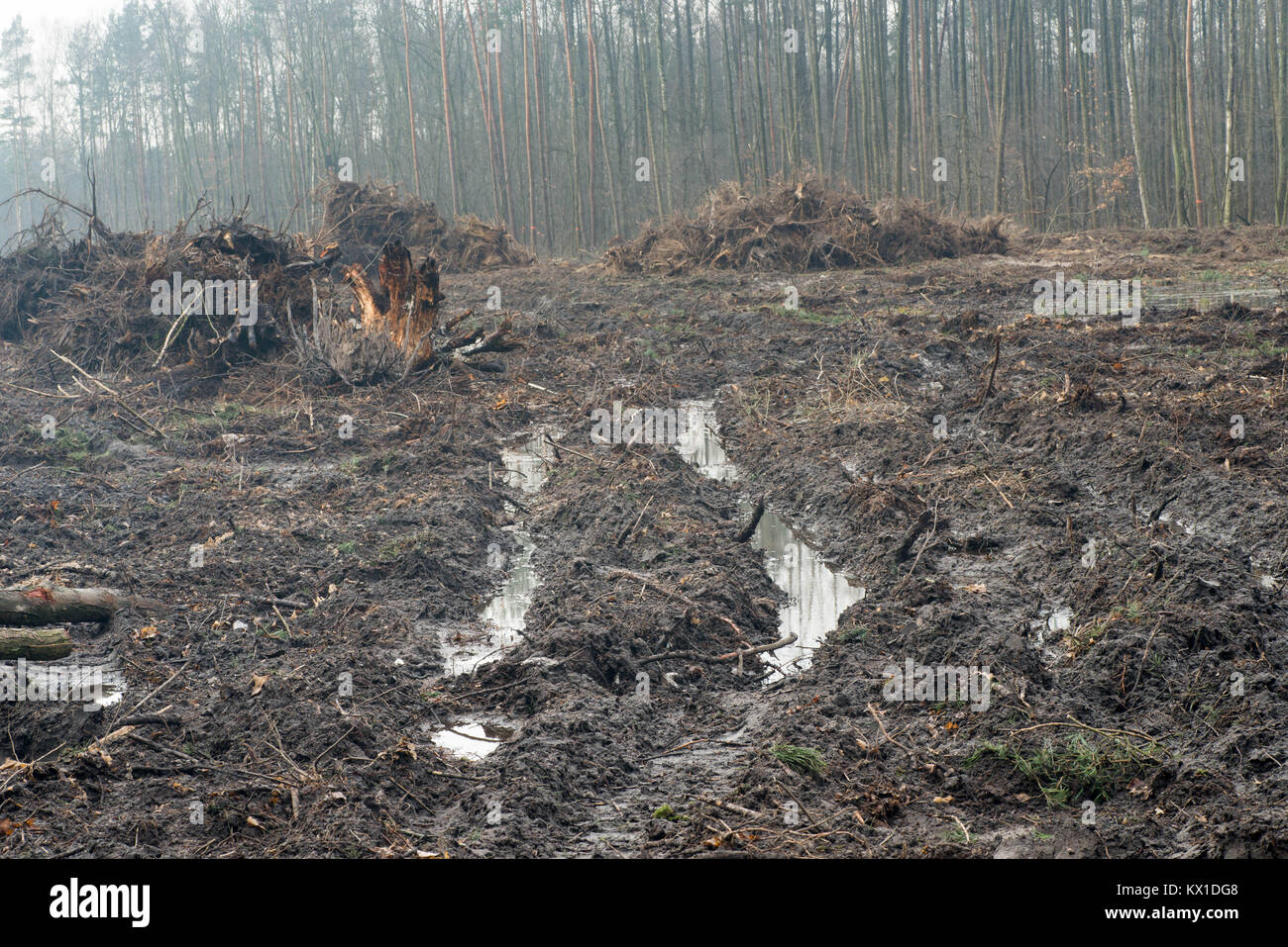 Puddles and mud hi-res stock photography and images - Alamy