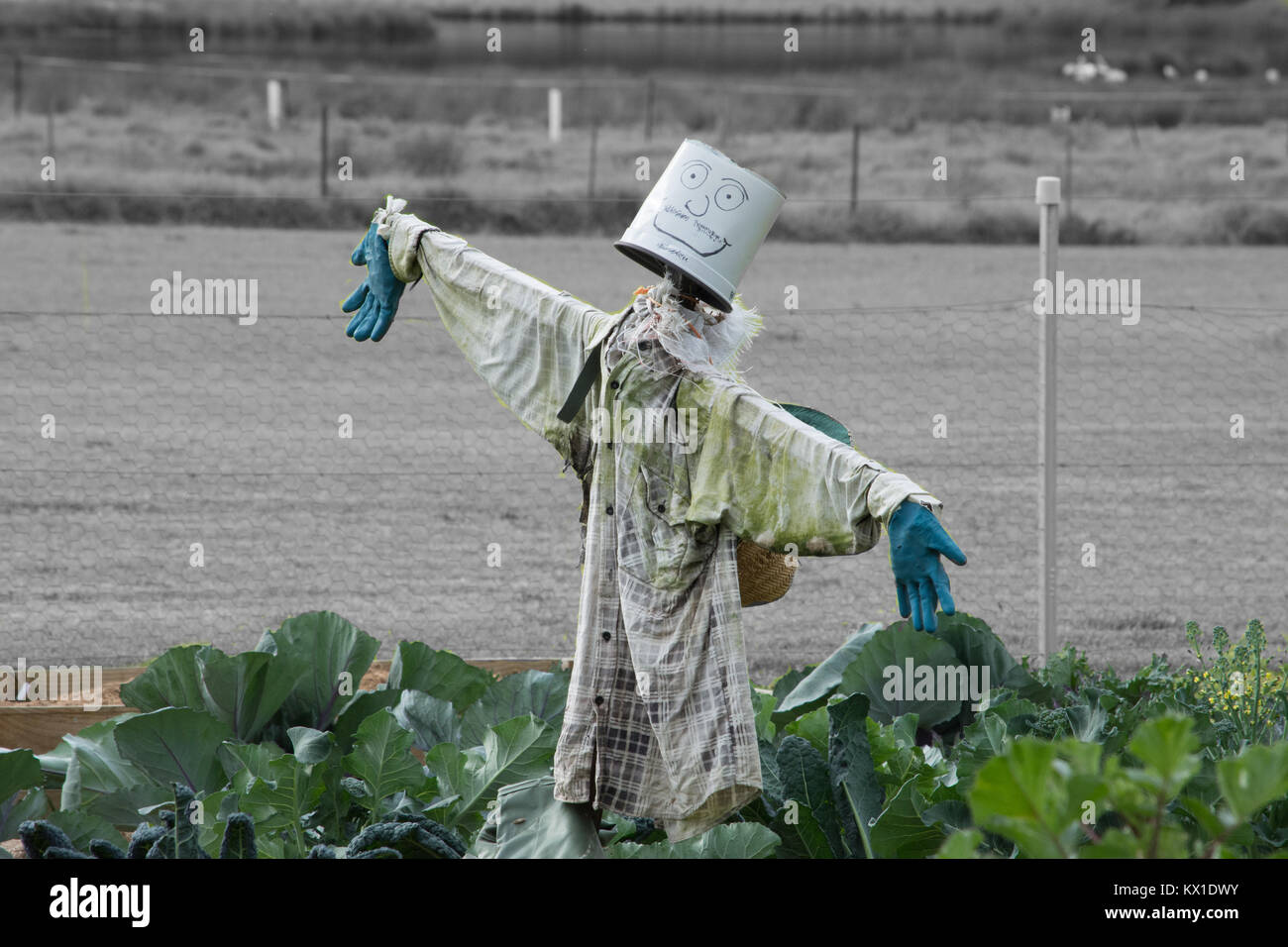 Primary industry hi-res stock photography and images - Alamy