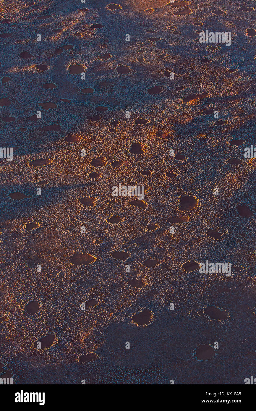 Fairy rings, also known as fairy circle, elf circle, elf ring] or pixie ...