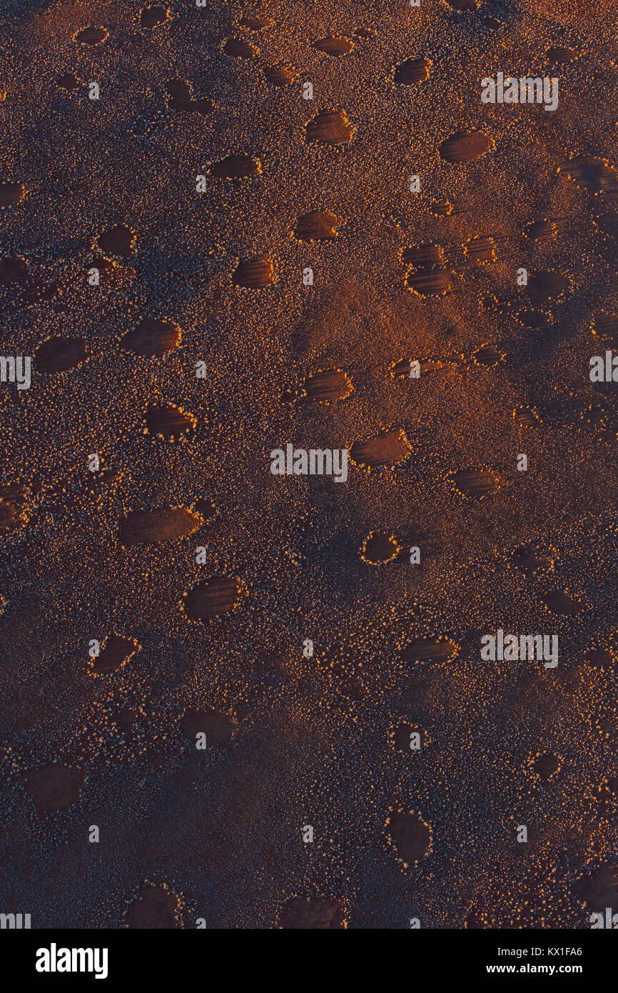 Fairy rings, also known as fairy circle, elf circle, elf ring] or pixie ...