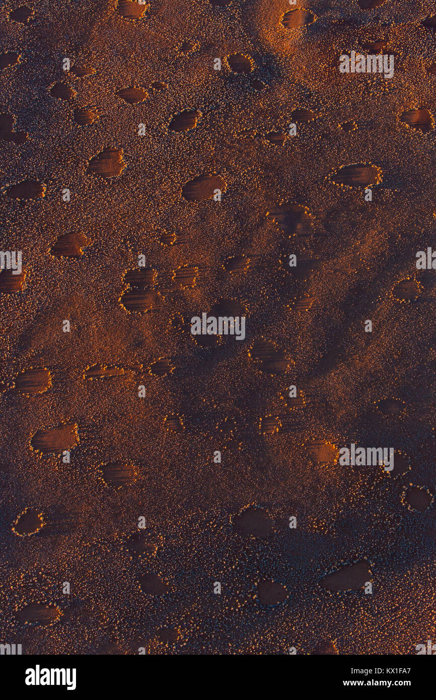 Fairy rings, also known as fairy circle, elf circle, elf ring] or pixie ...