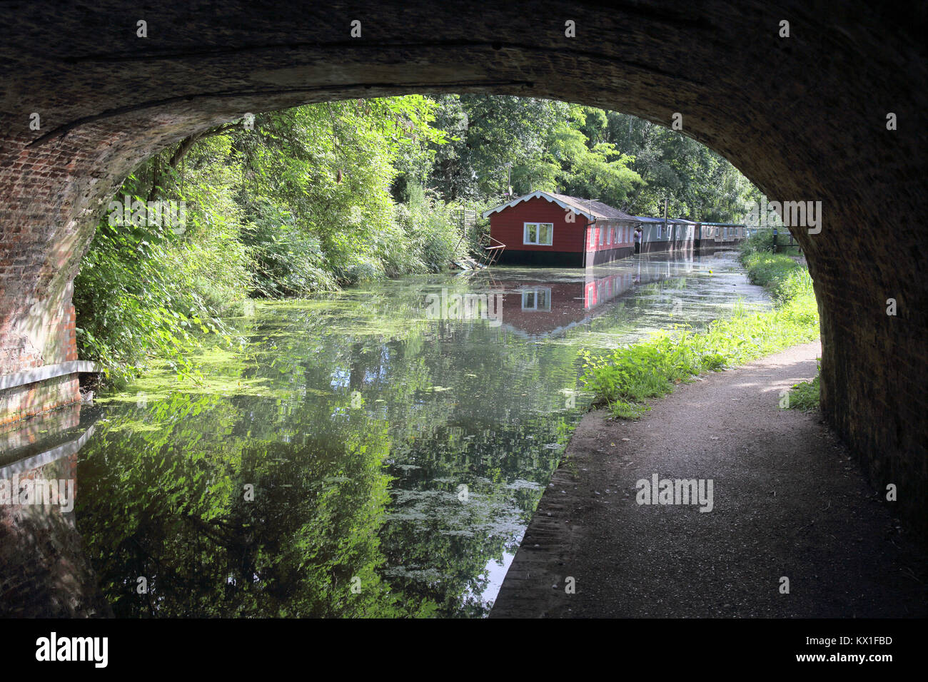 houseboats on the baisingstoke canal near woodham surrey Stock Photo ...