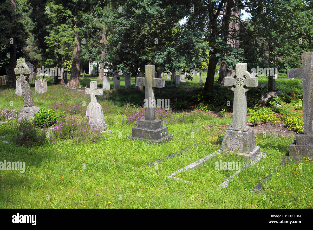 graves in brookwood cemetery surrey Stock Photo - Alamy