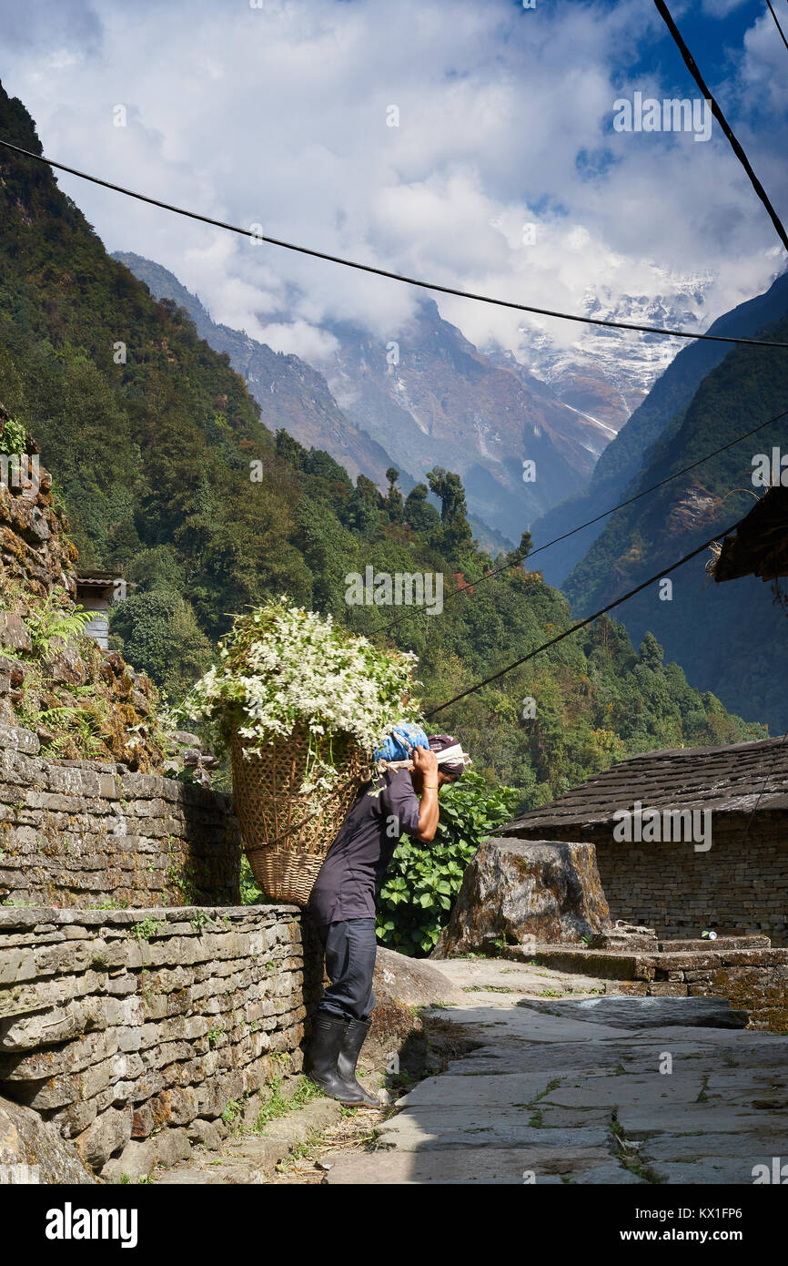 Doko hi-res stock photography and images - Alamy