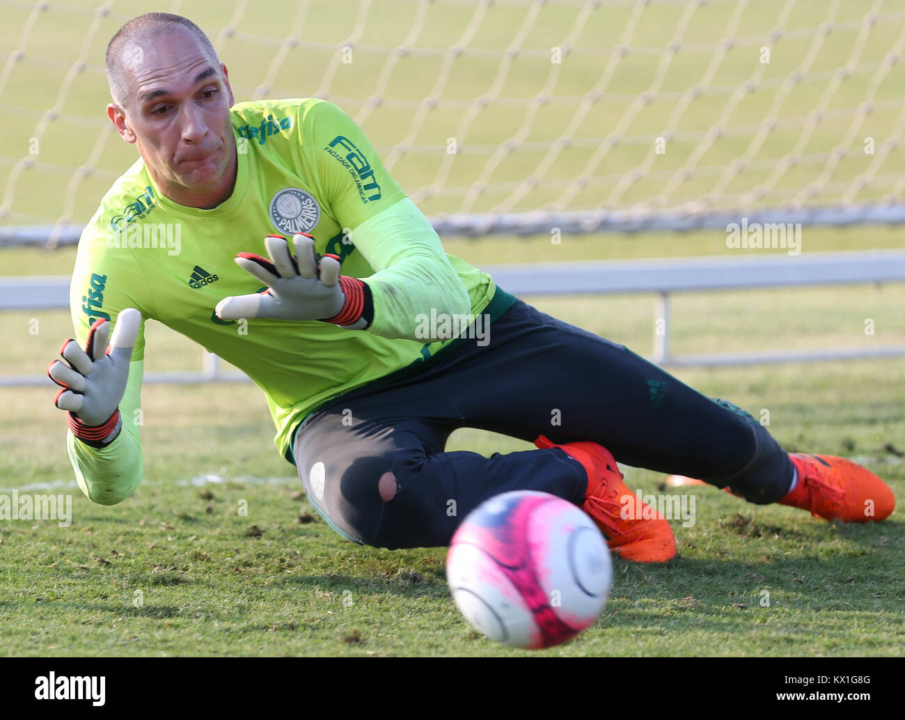 SÃO PAULO, SP - 05.01.2018: TREINO DO PALMEIRAS - Goalkeeper Fernando ...