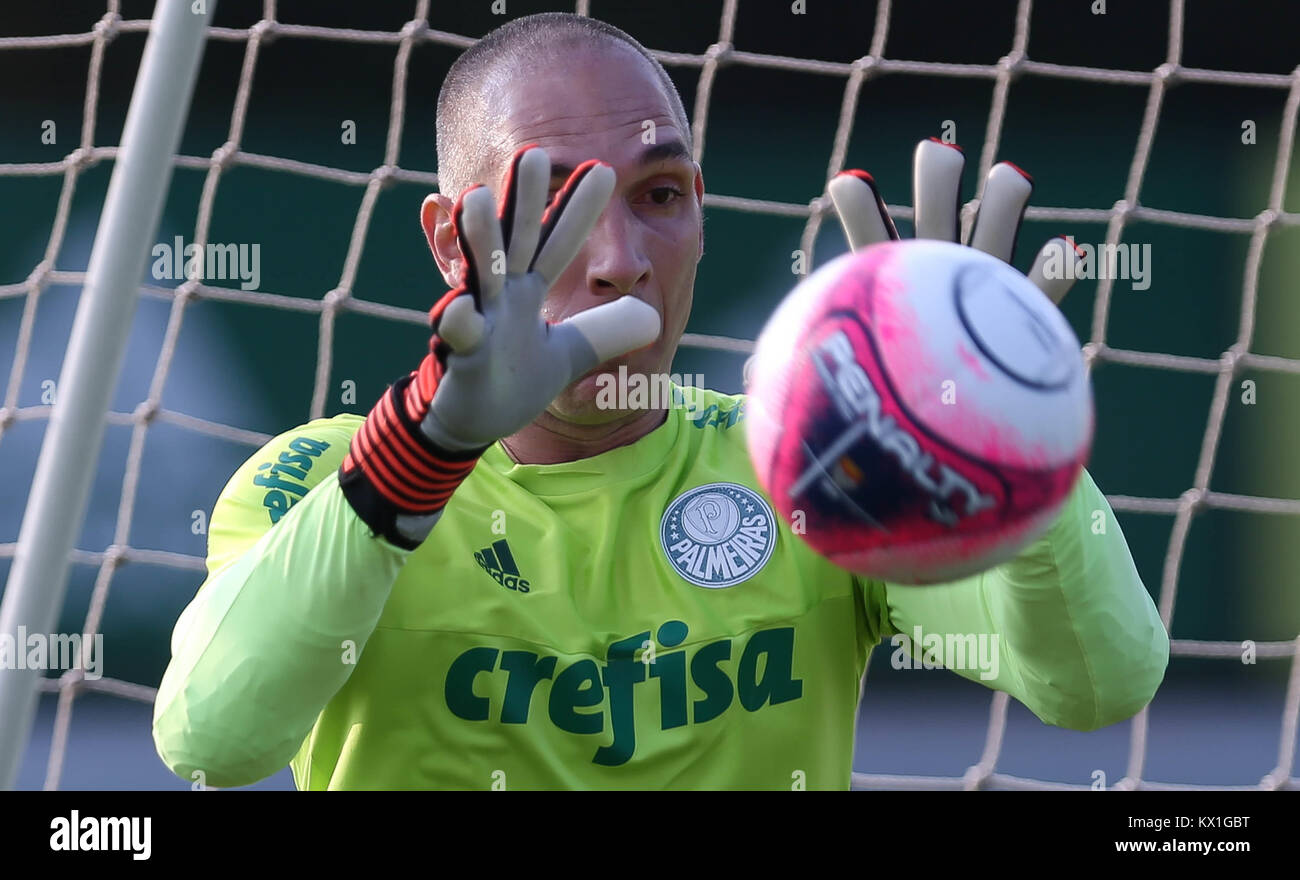 SÃO PAULO, SP - 05.01.2018: TREINO DO PALMEIRAS - Goalkeeper Fernando ...