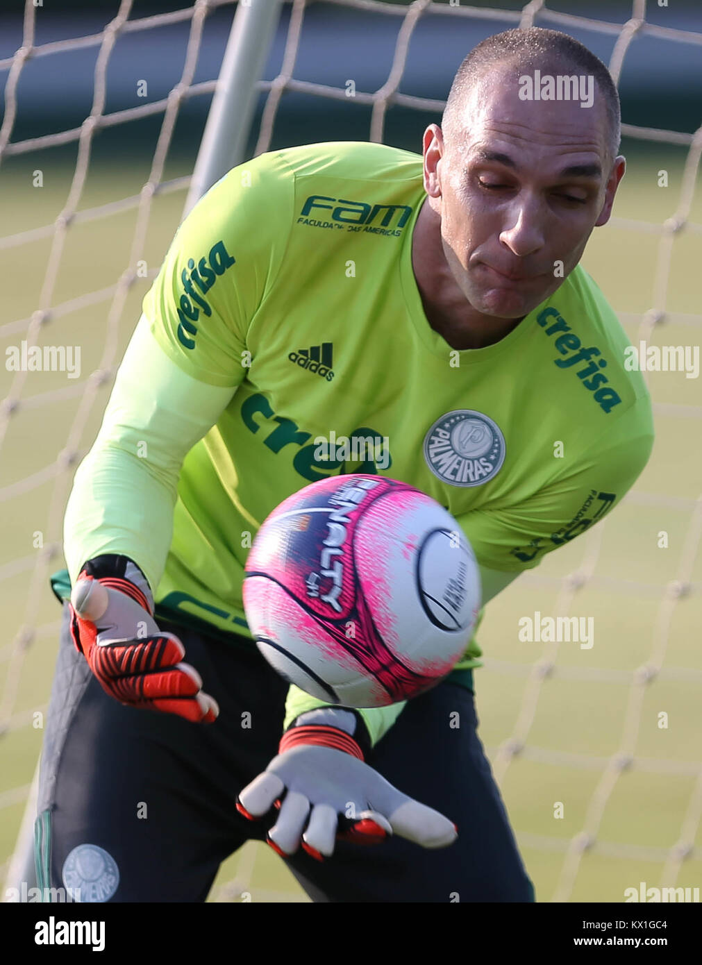 SÃO PAULO, SP - 05.01.2018: TREINO DO PALMEIRAS - Goalkeeper Fernando ...