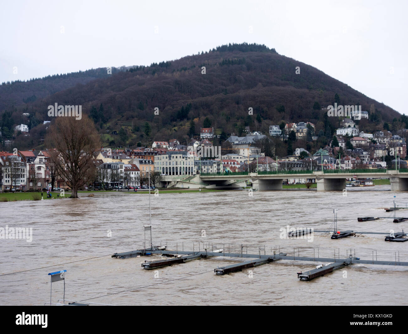 Flooded Neckar river in Heidelberg, Baden-Wurttemberg, Germany, 06 ...