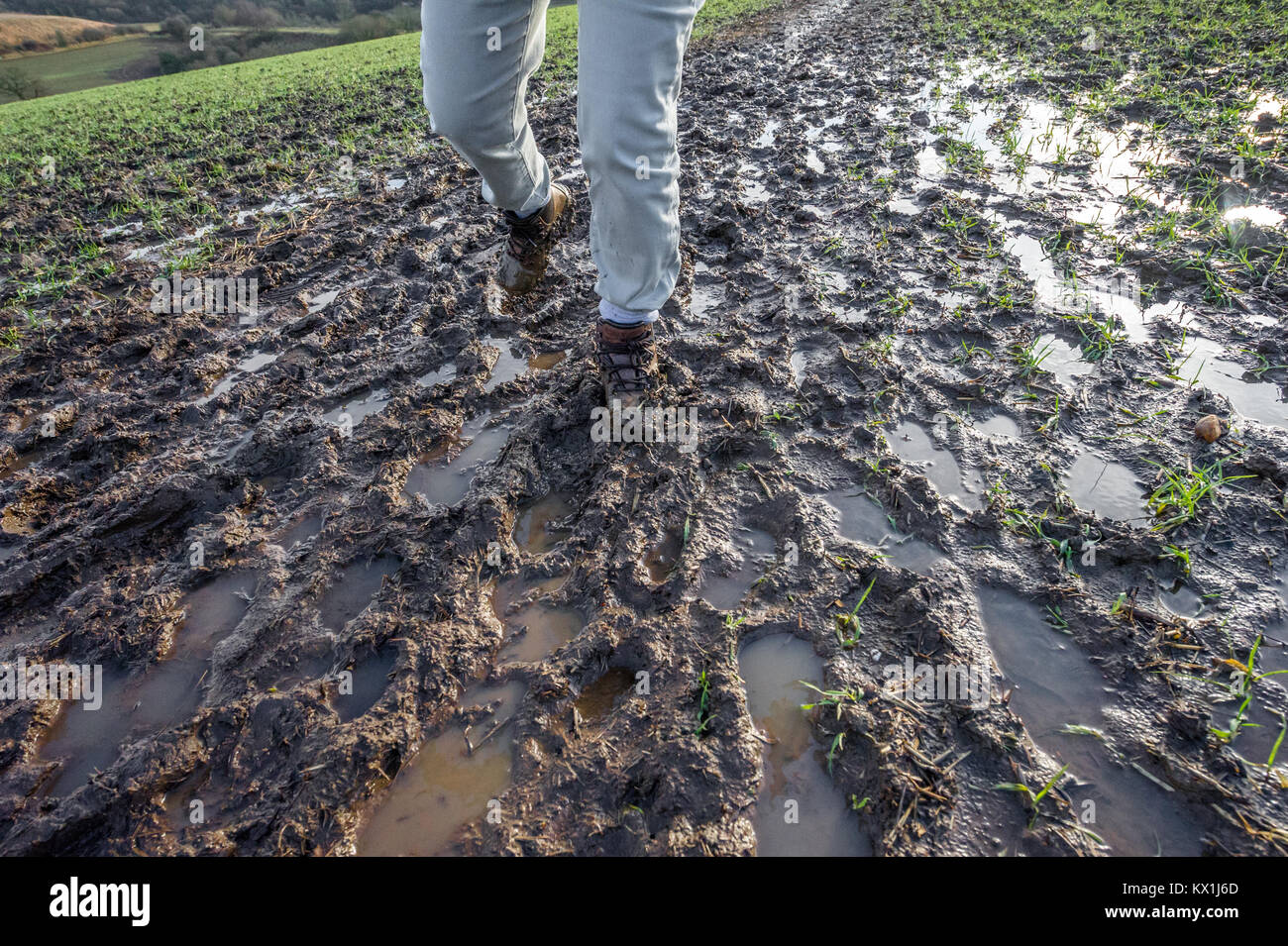 Mud field wet hi-res stock photography and images - Alamy