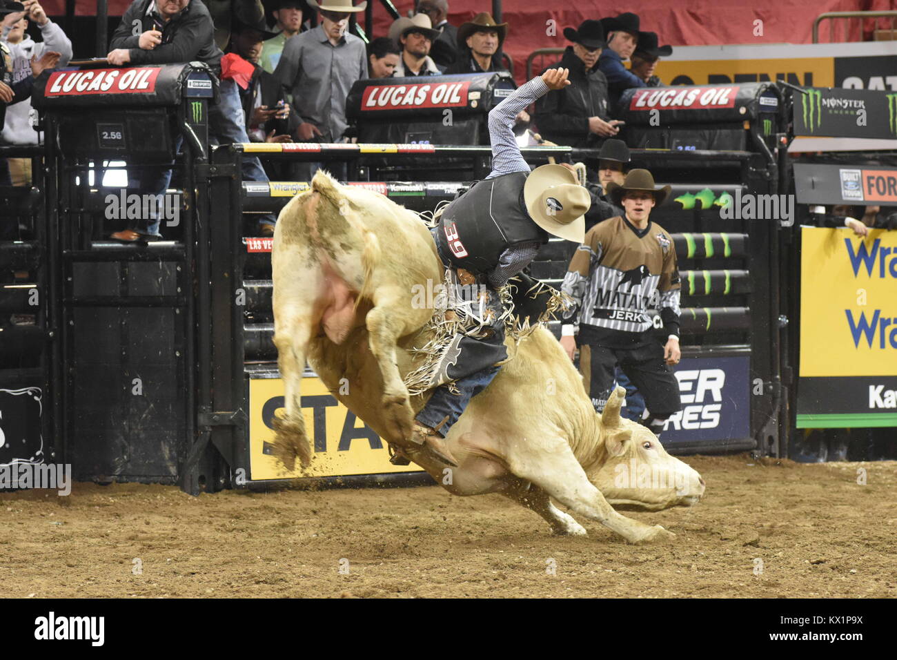 New York, New York, USA. 5th Jan, 2018. Bull Riders at the PBR riding ...