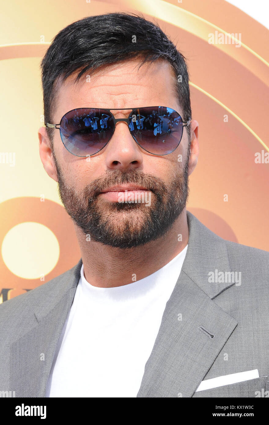 WEST HOLLYWOOD, CA - JANUARY 6: Singer Ricky Martin attends the 5th ...