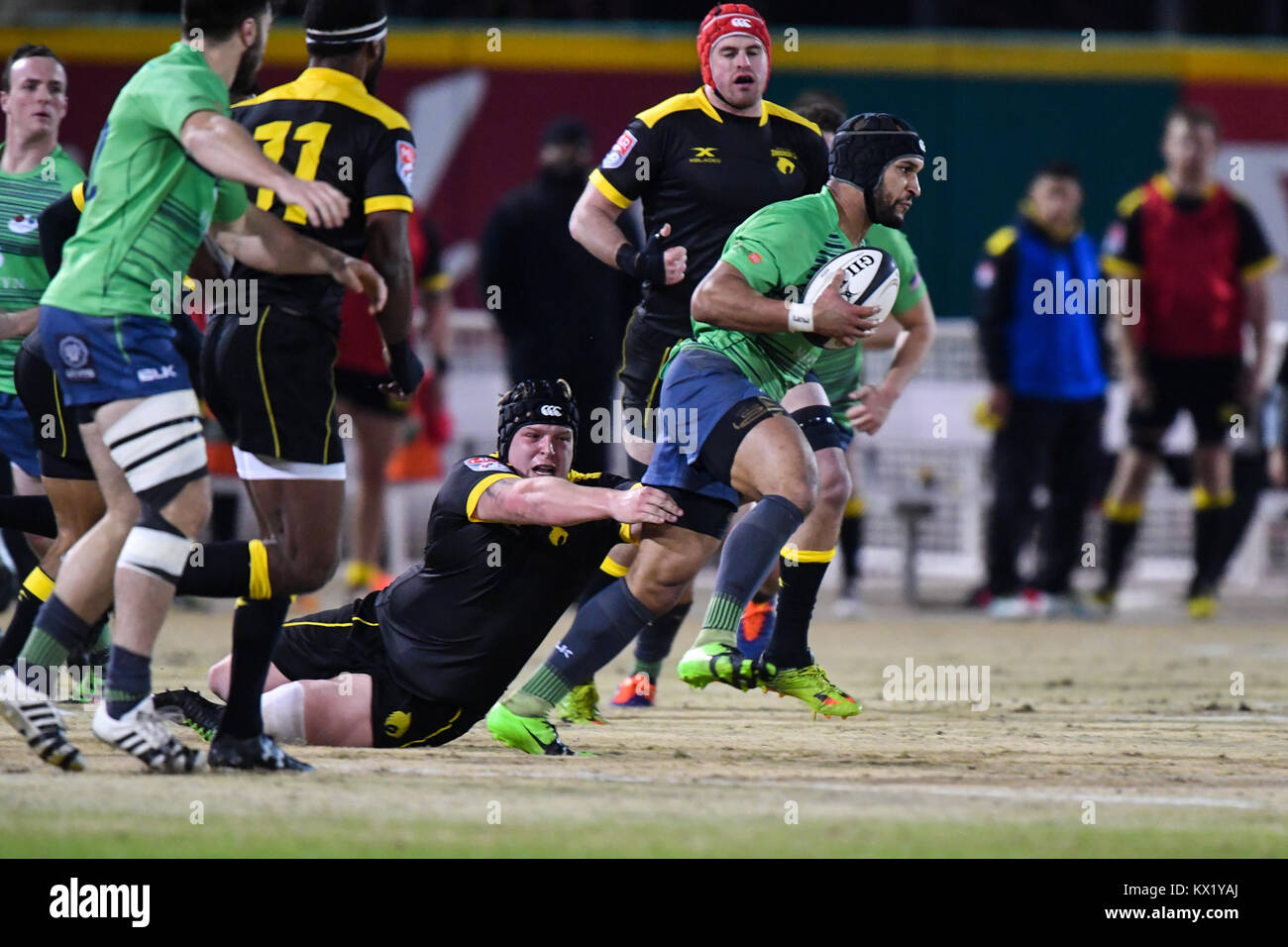 Sabercats High Resolution Stock Photography and Images - Alamy