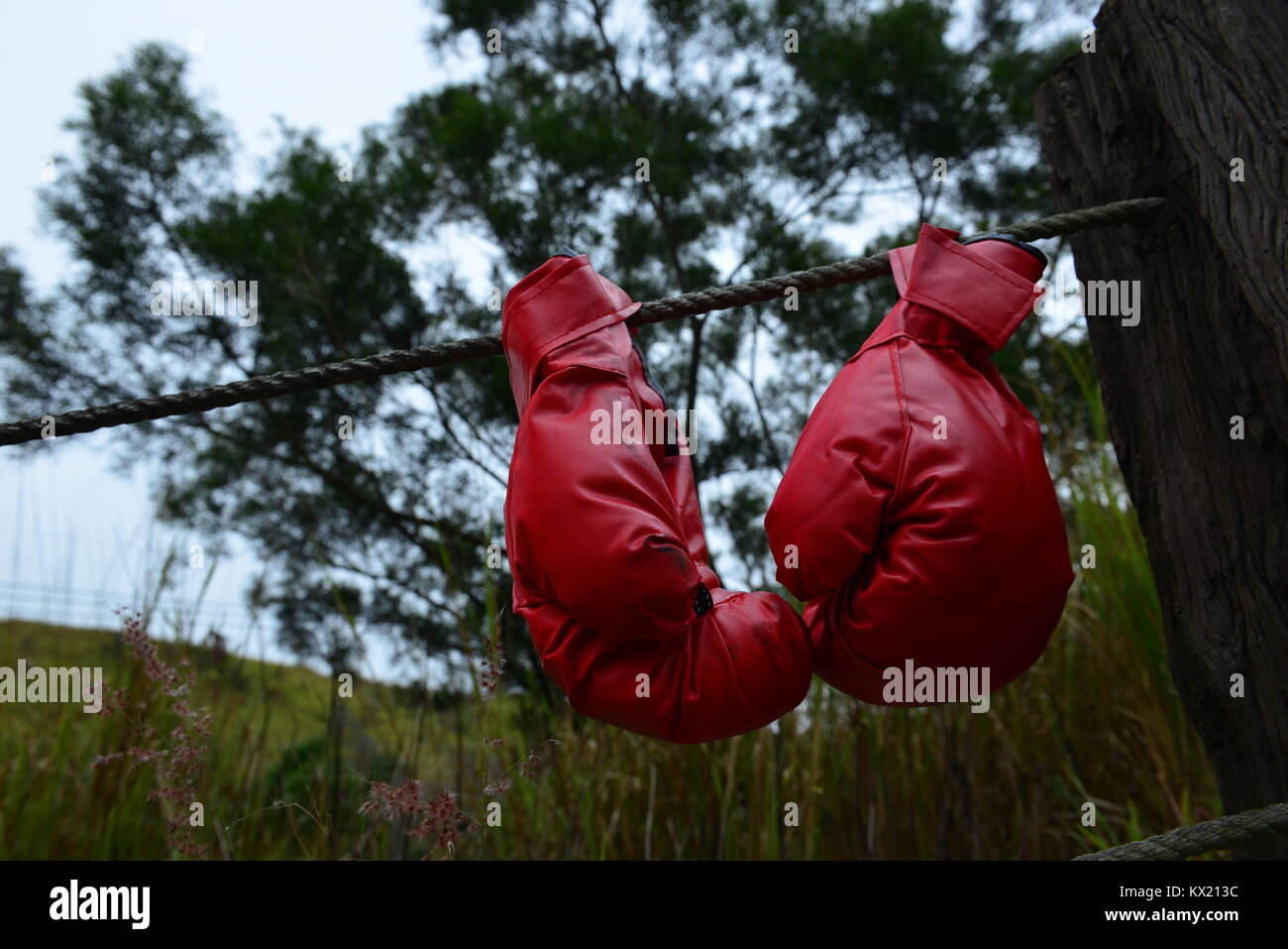 sport hiking waling thinking ladder Stock Photo - Alamy