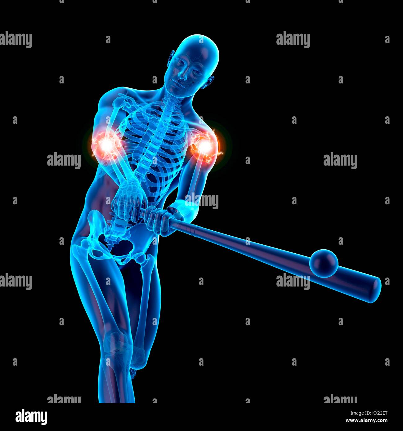 Person using baseball bat showing joints, illustration Stock Photo - Alamy