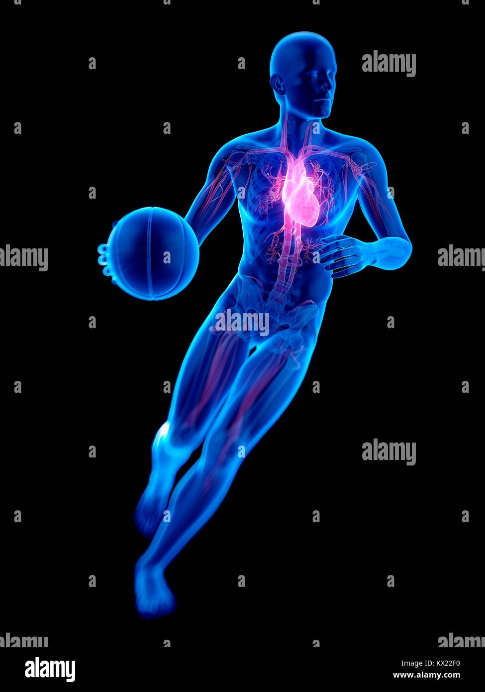 Basketball heart hi-res stock photography and images - Alamy