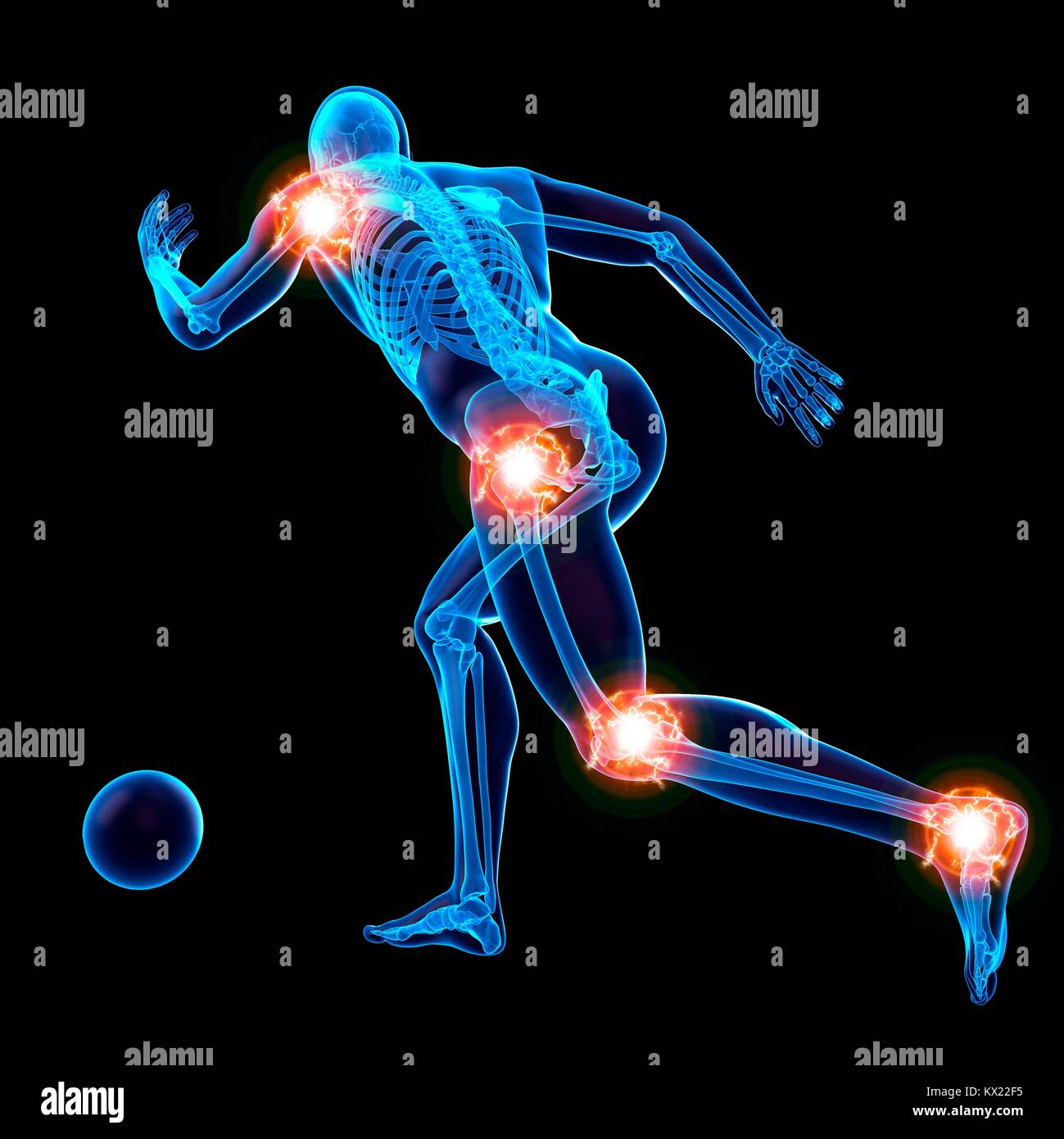 Playing bones hi-res stock photography and images - Alamy