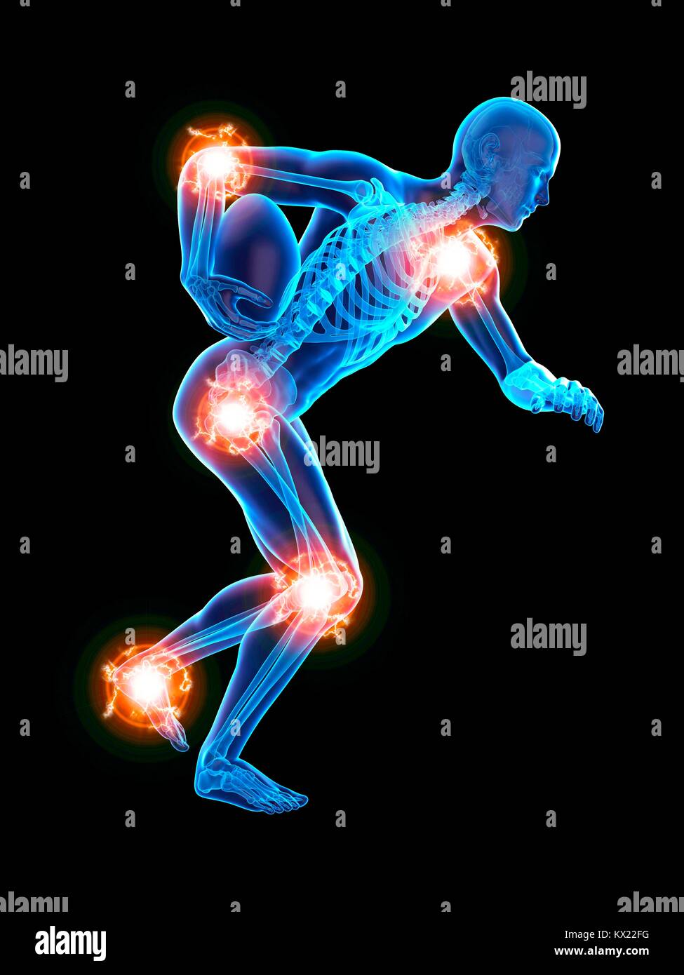 Skeletal structure of rugby player hi-res stock photography and images ...