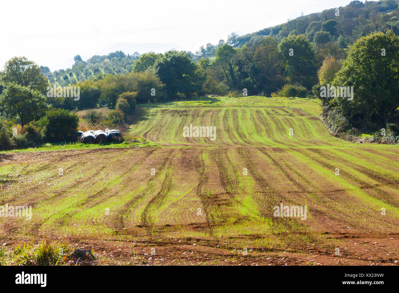 Fertile soil hi-res stock photography and images - Alamy