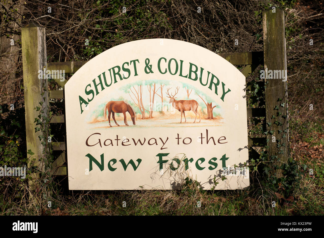 Ashurst new forest hi-res stock photography and images - Alamy