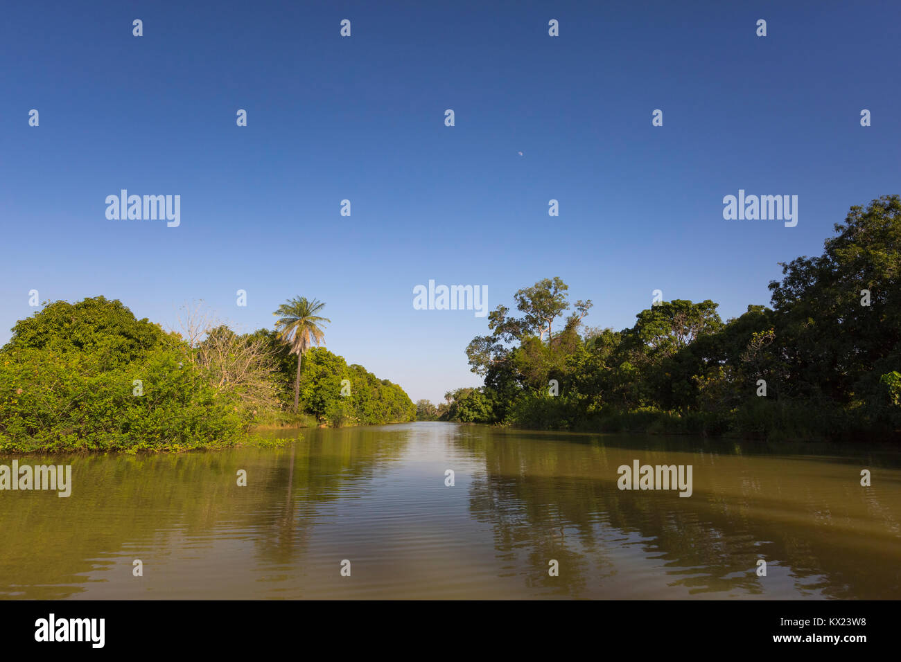 Landscape view of Gambia River and bankside vegetation, Georgetown, The ...