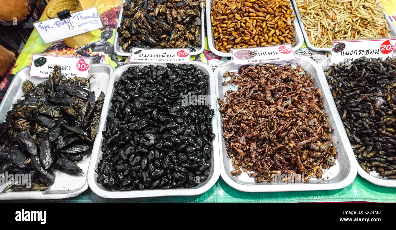 Thai street exotic food. Edible fried beetles, crickets Stock Photo - Alamy