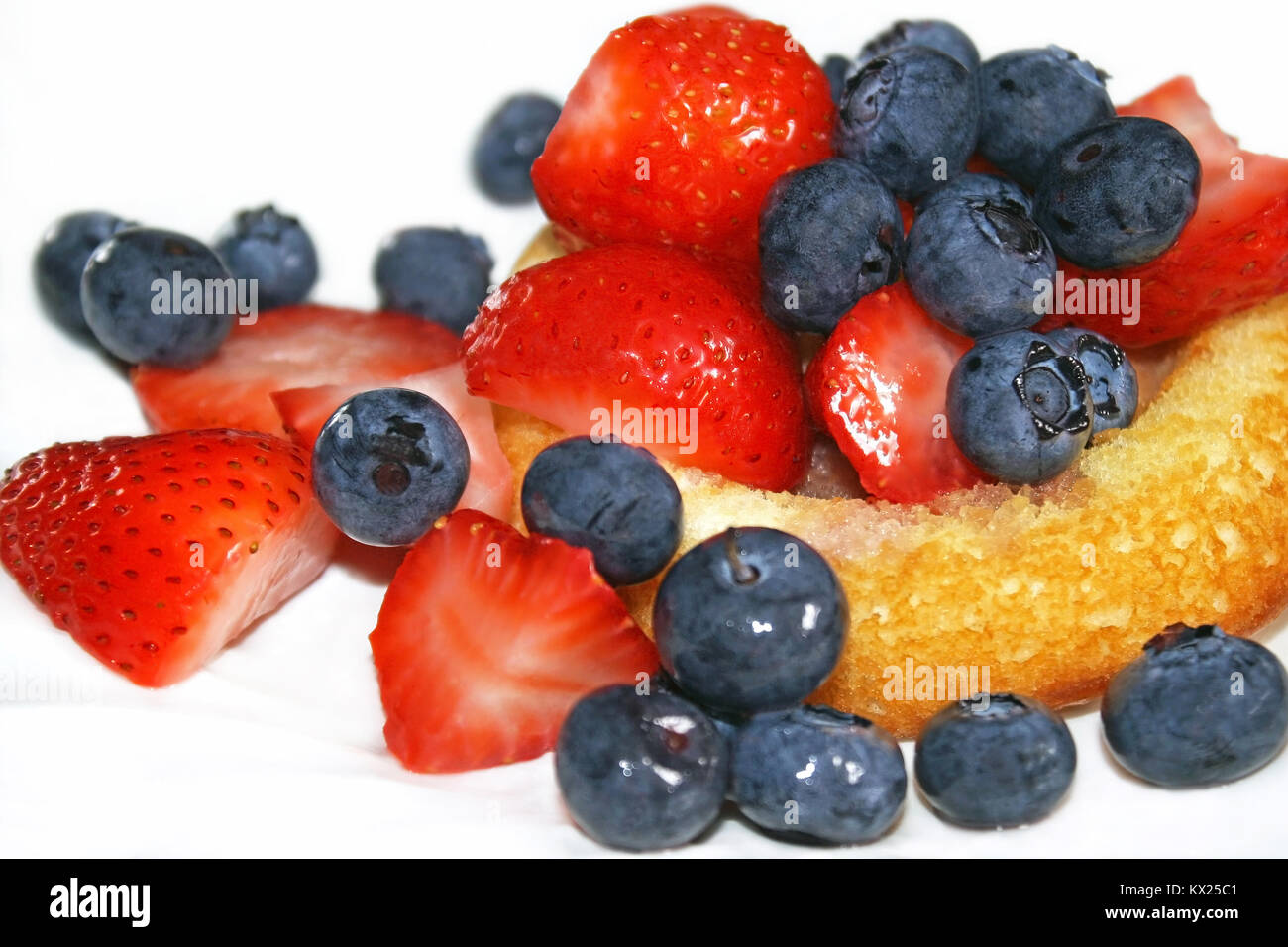 Sponge cake shell filled with fresh organic blueberries and ...