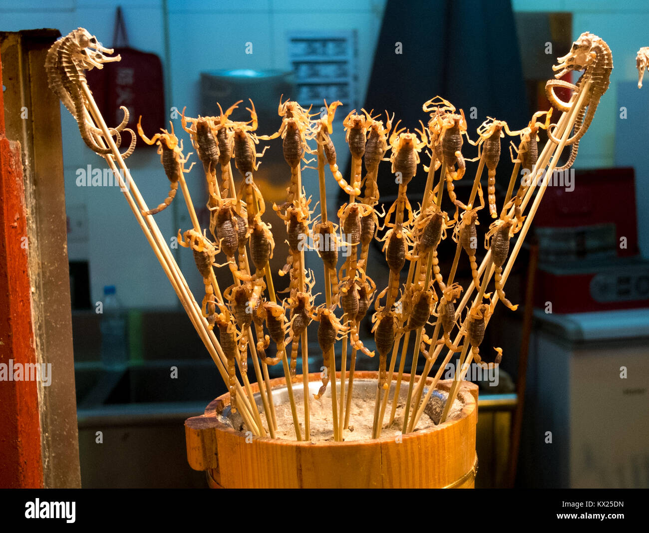 Fried seahorse hi-res stock photography and images - Alamy