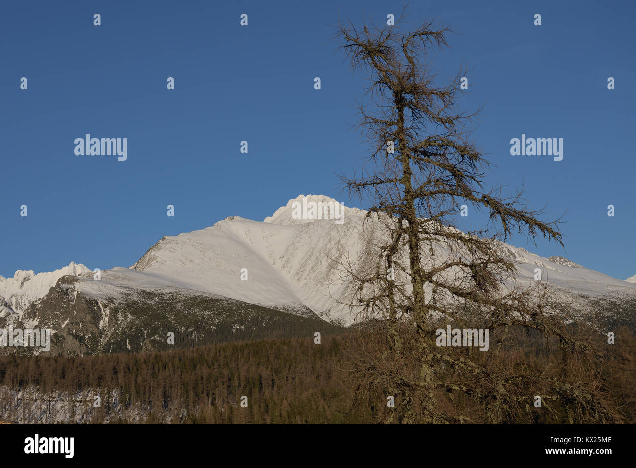 scenery of snow covered High Tatras mountains in the night in Slovakia ...
