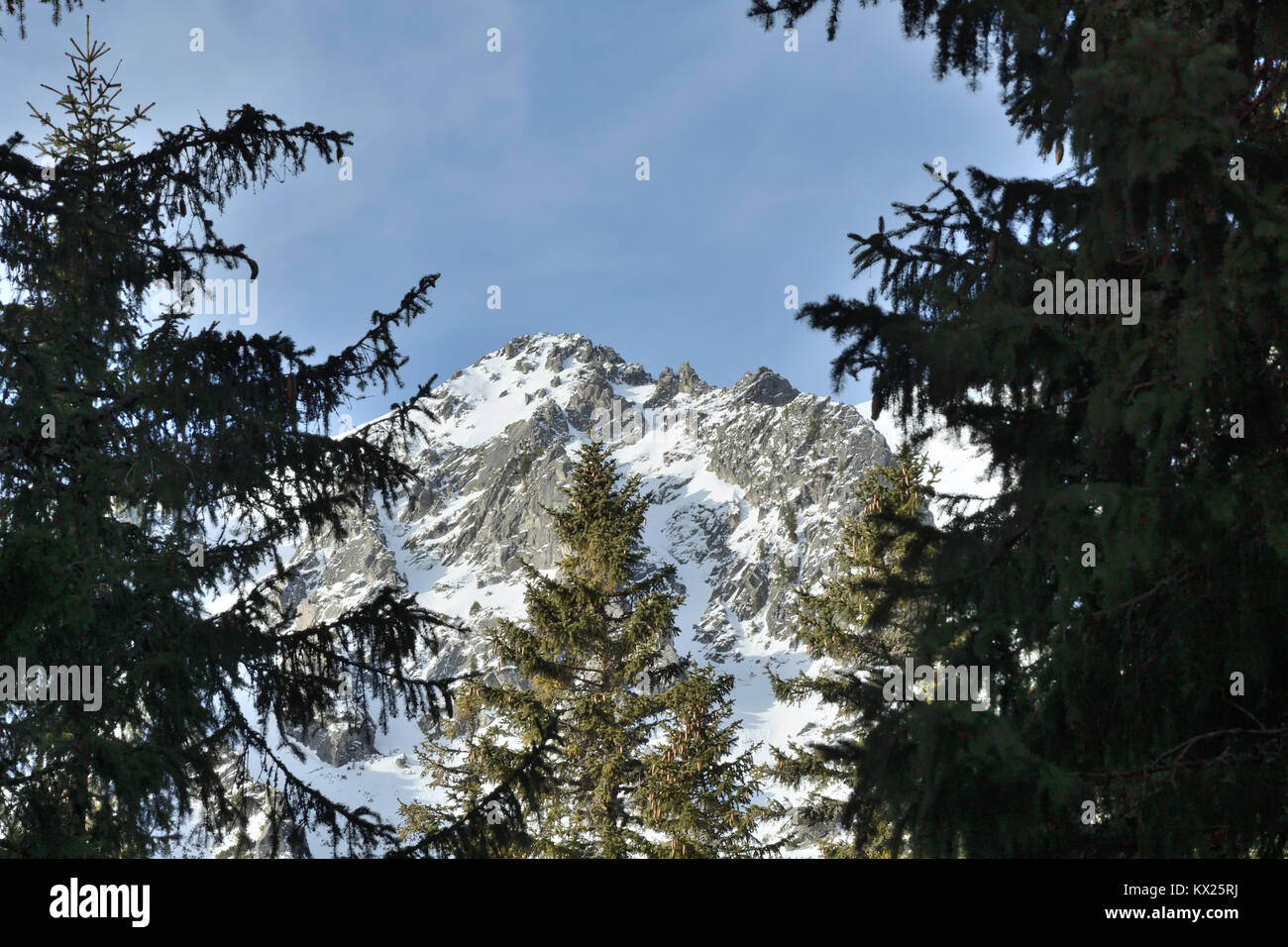 scenery of snow covered High Tatras mountains in the night in Slovakia ...