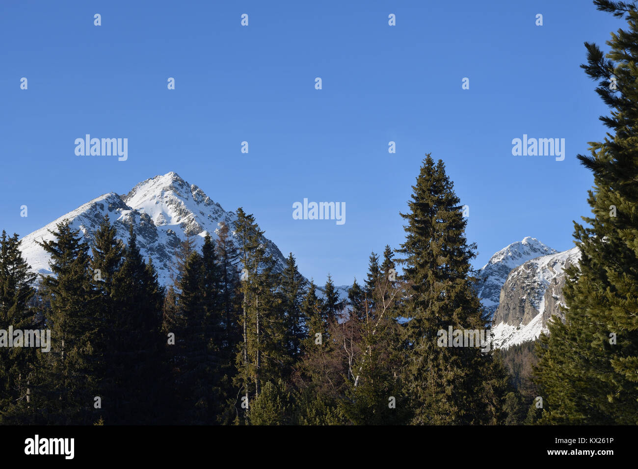 scenery of snow covered High Tatras mountains in the night in Slovakia ...