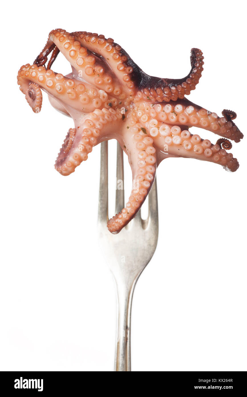 Octopus on a fork hi-res stock photography and images - Alamy