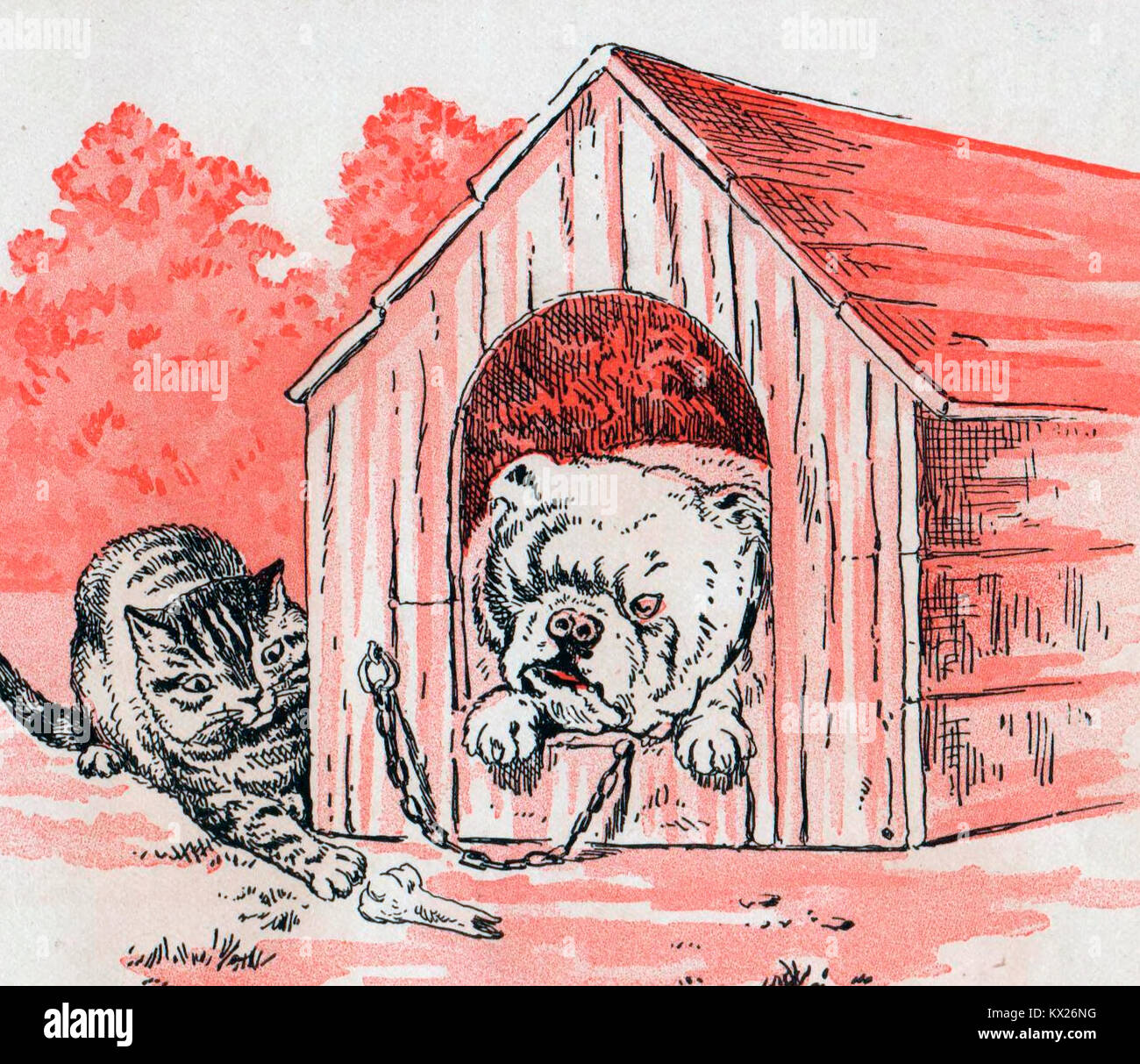 Cat stealing dog’s bone Stock Photo - Alamy