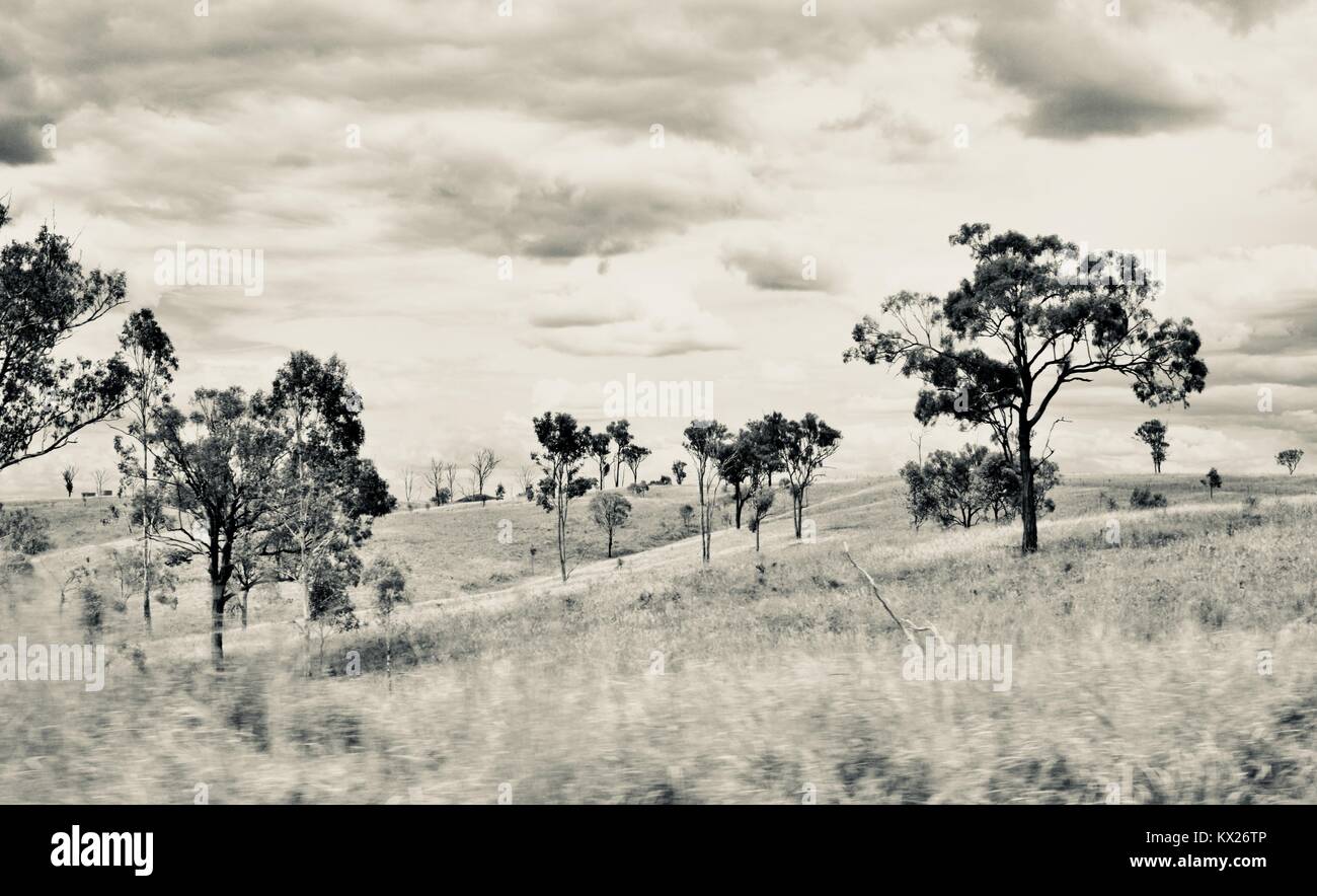 Dramatic black and white images of Australia, december, Queensland ...