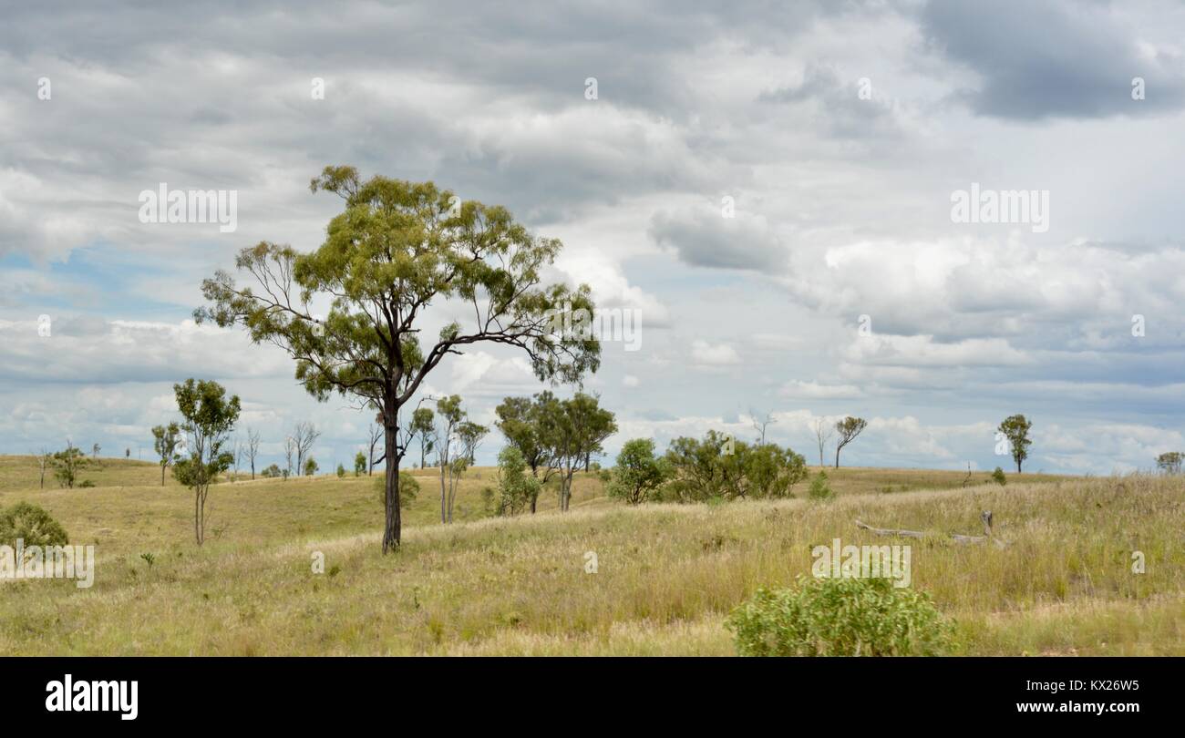 Rural scenes from country australian landscapes hi-res stock ...